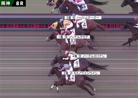 Jra 2019 日程 中央競馬開催日程表 2019年 重賞レース一覧 Jra Flfmzd