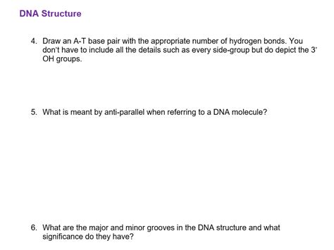 Solved Draw An A T Base Pair With The Appropriate Number Chegg Com