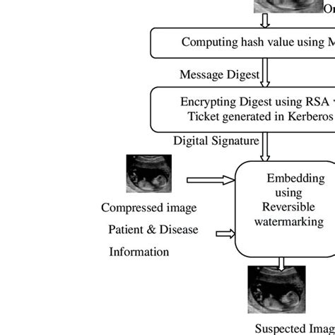 embedding procedure and authentication procedure download scientific diagram
