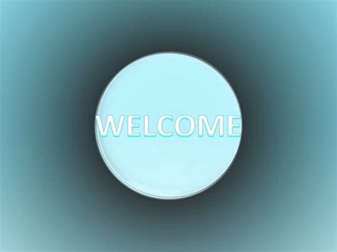 Physics Project Class 11 Docx