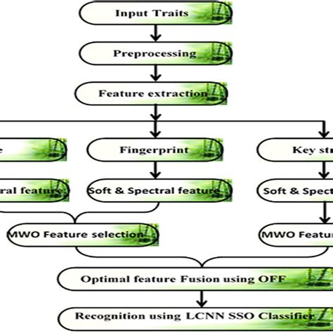 proposed model for fusion of face fingerprint and keystroke for download scientific diagram