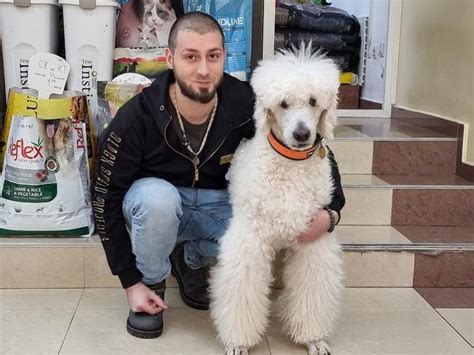 Дребни породи кучета гигантски африкански охлюви и диви птици отглеждат като домашни любимци