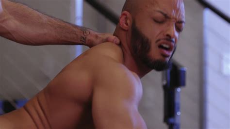 Gay Porn Videos Dvds Sex Toys Gay Dvd Empire