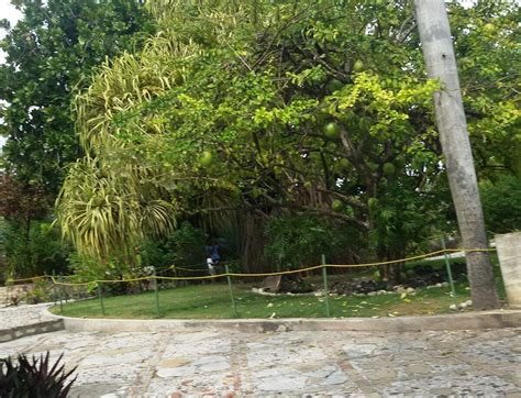 Parc De Martissant Port Au Prince 2023 What To Know Before You Go