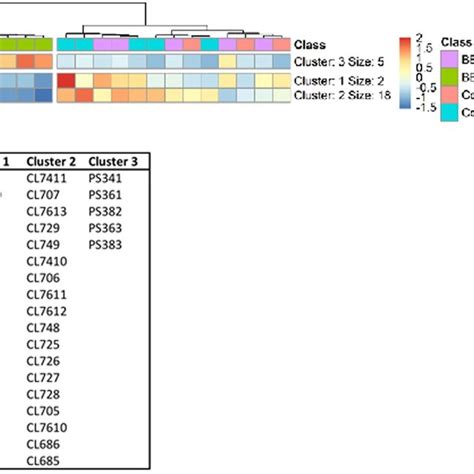 two dimensional hierarchical clustering heat map of the phospholipid