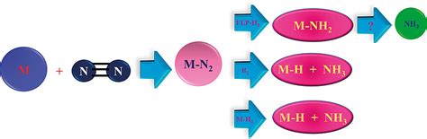Activation And Functionalization Of Dinitrogen In The Presence Of Molecular Hydrogen Promoted By