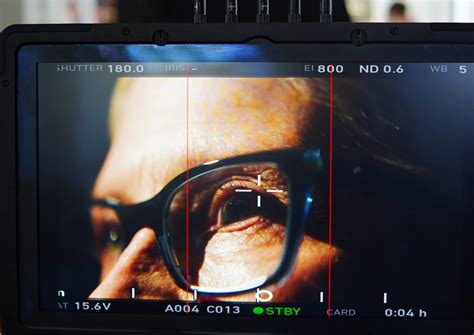 Convergent Evolution Examples And Definition Evidence Network