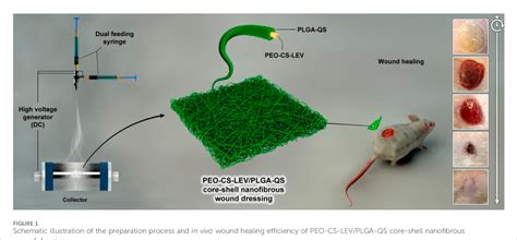 Figure 1 From Levofloxacin Loaded Poly Ethylene Oxide Chitosan Quercetin Loaded Poly D L