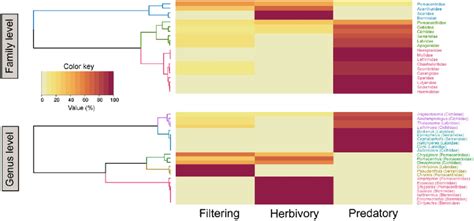 hierarchical cluster analysis with heatmaps showing taxonomy based