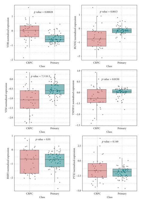 Expression Of Bone Markers In Prostate Cancer Patient Datasets A