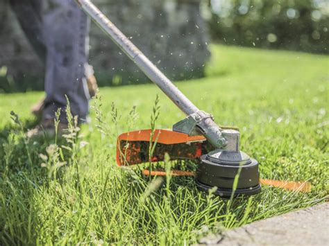 Покос травы на участке в Санкт Петербурге и области