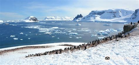 디셉션 섬 자유여행 가이드 2025년년 내 주변의 즐길 거리 인기 명소 여행 계획 숙박 음식 교통 날씨 등 여행 필수 정보 업데이트 날짜 2025년 5월