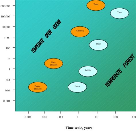 Characteristic Spatial And Temporal Scales For Components Of Download Scientific Diagram