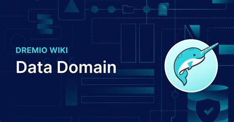 What Is Data Domain Data Domain Uses Dremio