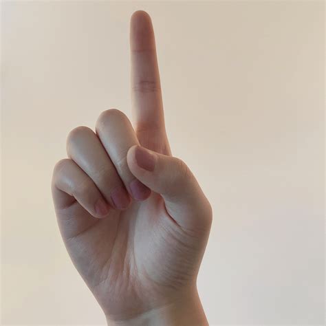 How To Measure Your Cervix How Coralcone Works Coralcone