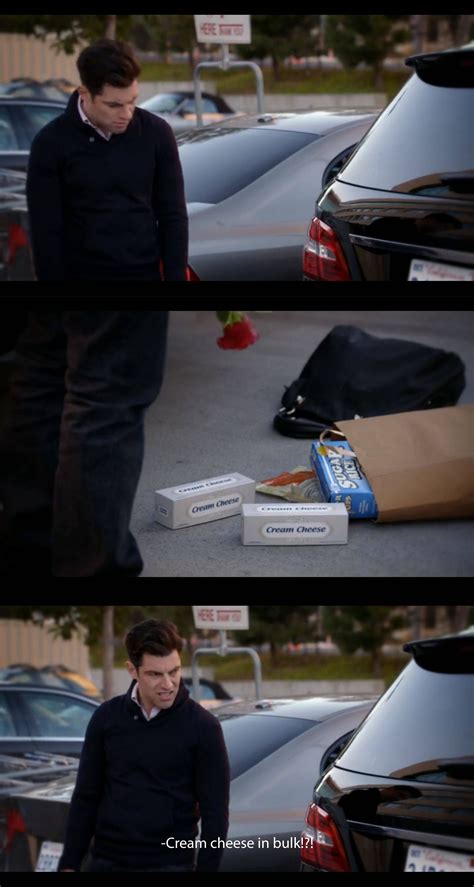 New Girl Memes Schmidt