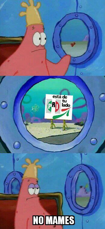 En Particular Niños Oponerse A Bob Esponja El Llamado De La Naturaleza