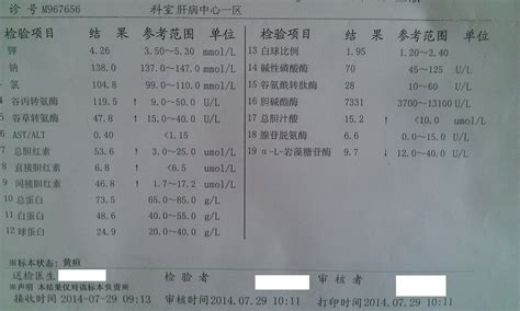 谷丙转氨酶，谷草转氨酶，胆红素高，但不是病毒性肝炎百度知道