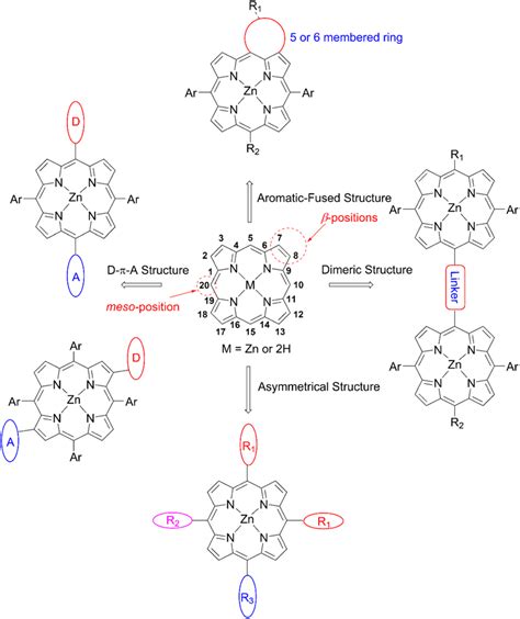 Structure And Numbering Of The Porphyrin Molecule And Common Design