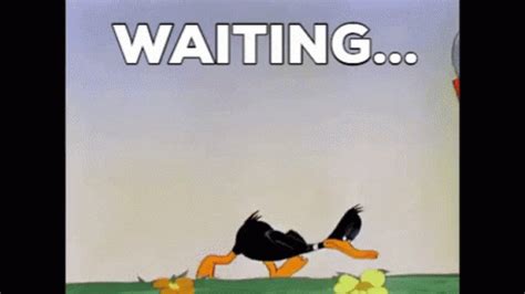 Waiting Patiently  Waiting Patiently Patience Discover And Share S