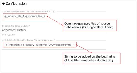 Files Duplicate From Multi Items Questetra Support