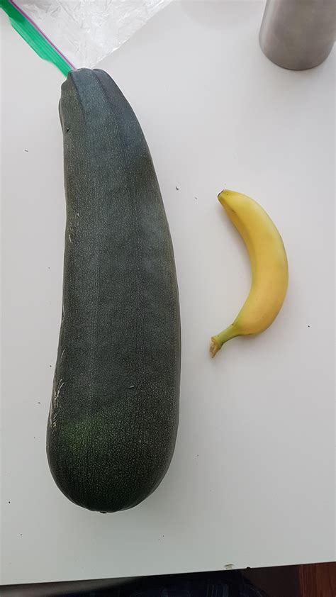 This Absolute Unit Of A Cucumber R Absoluteunits