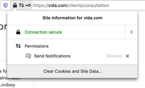 How Do I Give Permissions Using The Firefox Browser Vida Health