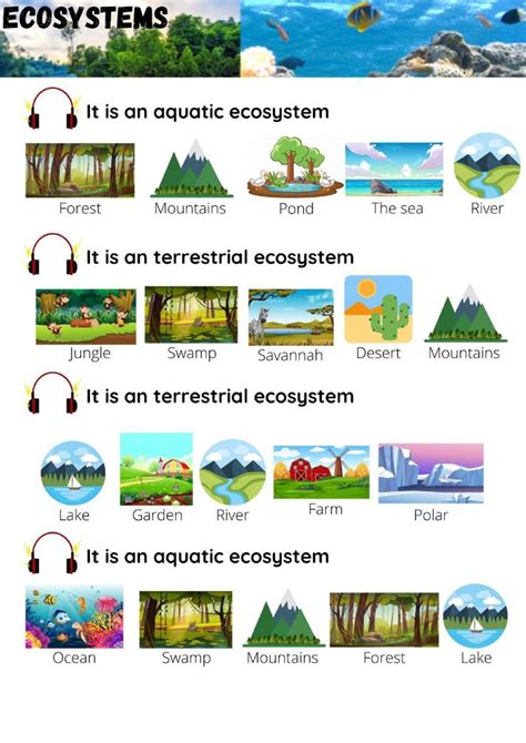 ecosystems online exercise for grade 3 6