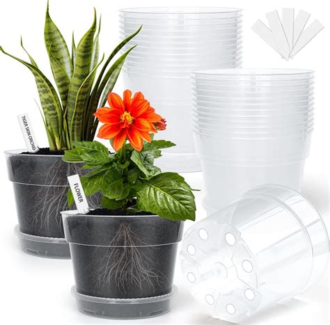 Btplastik Clear Plastic Nursery Pots For Plants 6 Inch