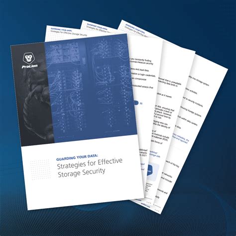 Whitepaper Strategies For Effective Storage Security Prolion