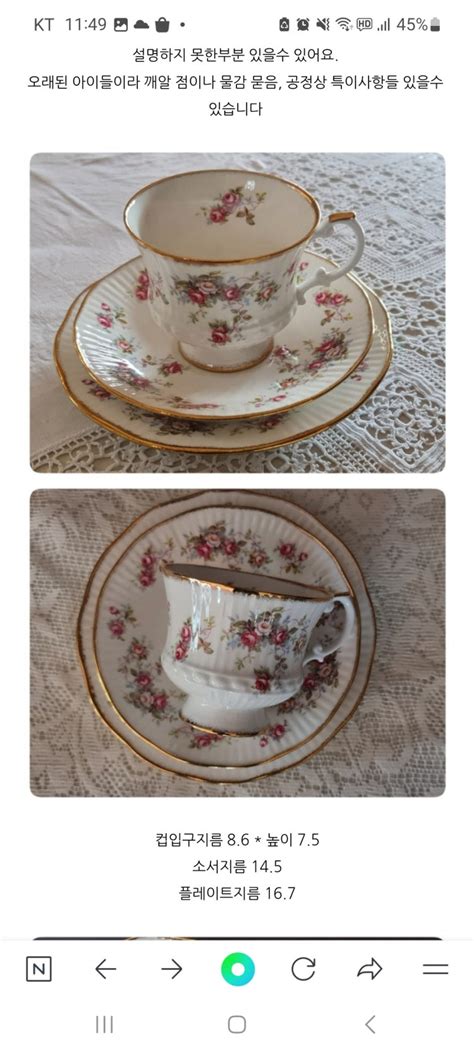 엘리자베션 스테포드셔 지식in