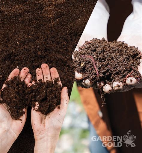Difference Between Composting And Vermicomposting