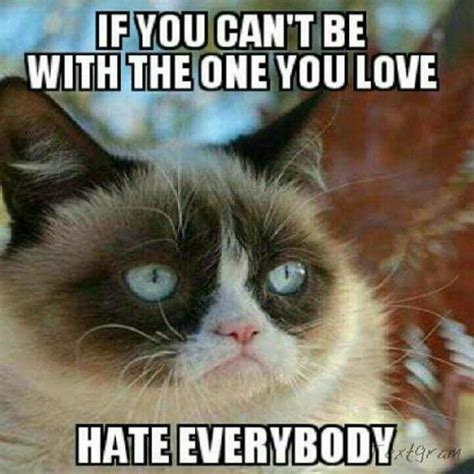 21 Best Grumpy Cat Memes And Funny Quotes About Love And Life Yourtango