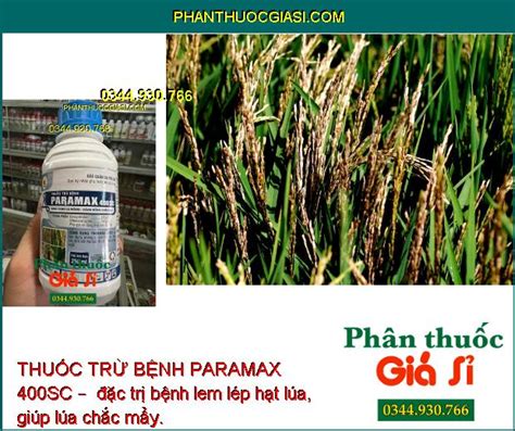 ThuỐc TrỪ BỆnh Paramax 400sc SÁng Xanh LÁ ĐÒng VÀng BÔng ChẮc HẠt