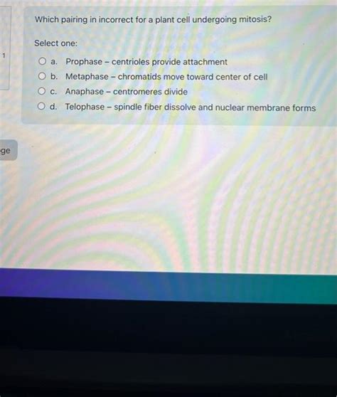 Solved Which Pairing In Incorrect For A Plant Cell