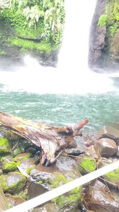 Adam Dwi Rizki On Linkedin Yuk Yg Butuh Template Cv Atau Portofolio Bisa Langsung Mampir Ke Link…