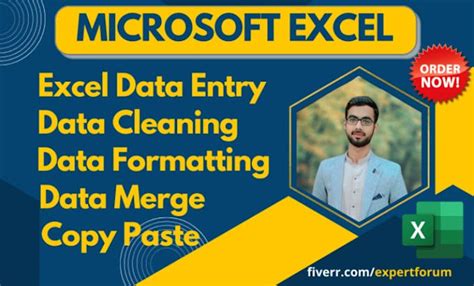 Excel Data Entry Cleanup And Formatting Services By Hzadnan Fiverr