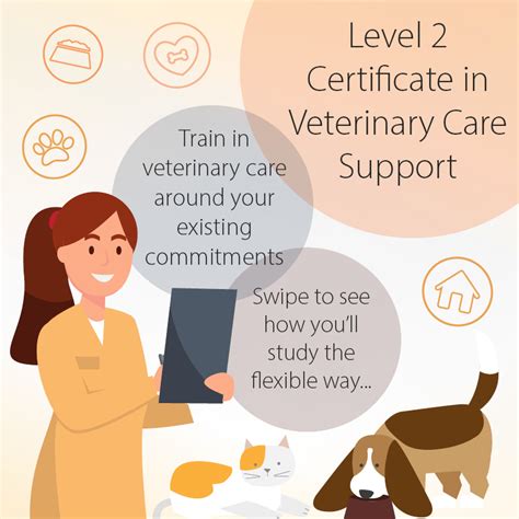 Vetskill Level 2 Certificate In Veterinary Ca Caw