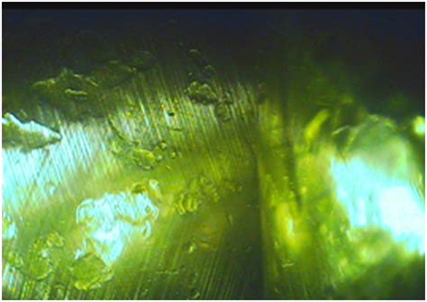 Borescope Image Of Bearing Issue Showing Indents Colour Figure Can Be