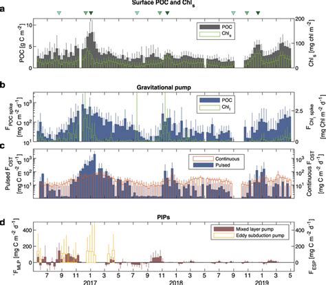 Seasonality Of Multiple Carbon Export Pathways A Stock Of Particulate Download Scientific