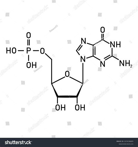 Phosphoryl Group Structure