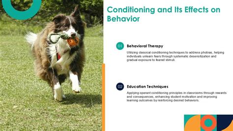 Classical Vs Operant Conditioning In Psychology Ppt Guidelines Acp Ppt Example