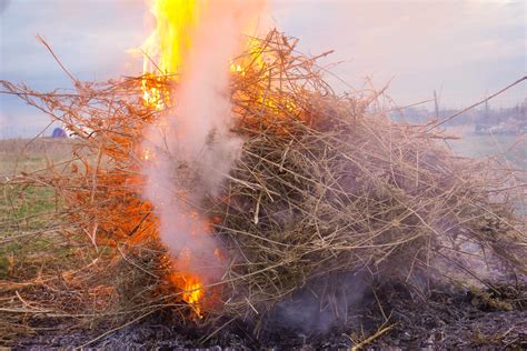 Какво да правим при горски пожари съвети за превенция и реакция Wwf
