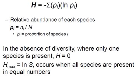 Lab Practical Final Flashcards Quizlet