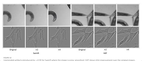 Figure 12 From Super Resolution Based Methodology For Self Supervised Segmentation Of Microscopy