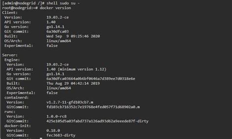 Run Docker In Nodegrid