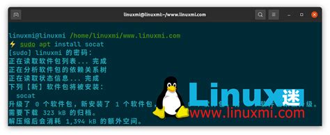 Linux 中的 Socat 命令示例 Linux迷