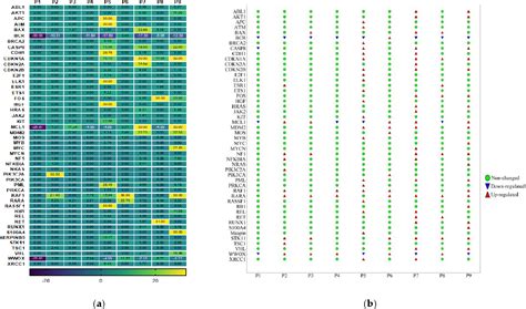 Figure 4 From Comprehensive Transcriptome Analysis Reveals The Distinct