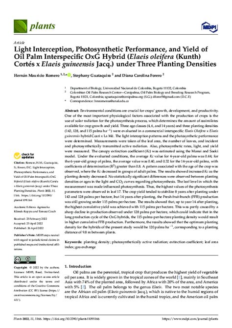 Pdf Light Interception Photosynthetic Performance And Yield Of Oil Palm Interspecific Oxg