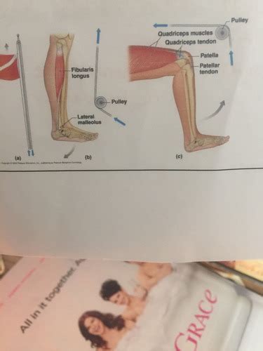 Chapter 9 Flashcards Quizlet Chapter 9 Flashcards Quizlet